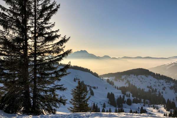 Waiter/Waitress at Le Local Morzine - Dec - April | Anywork Anywhere